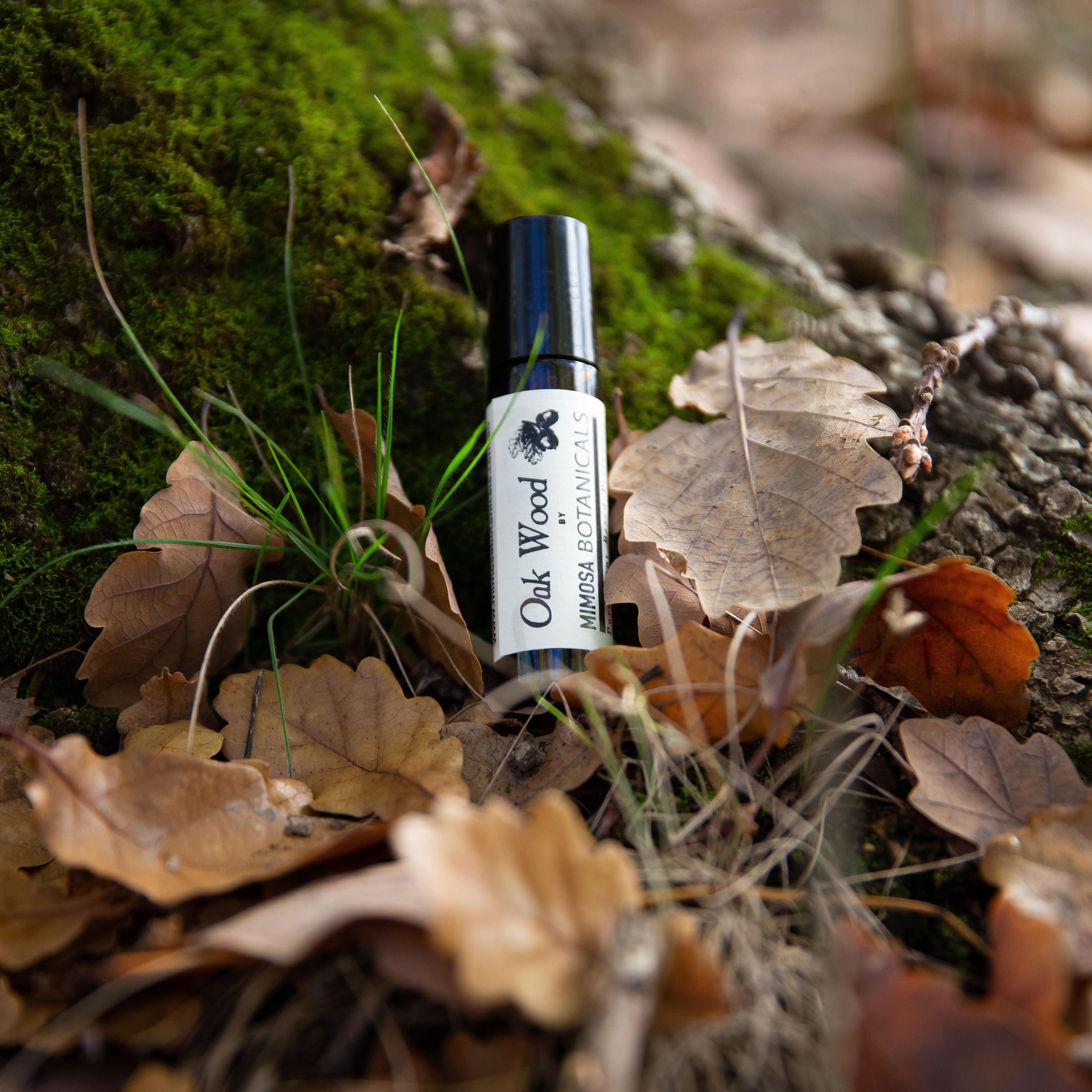 Oak Wood Botanical Perfume – Mimosa Botanicals