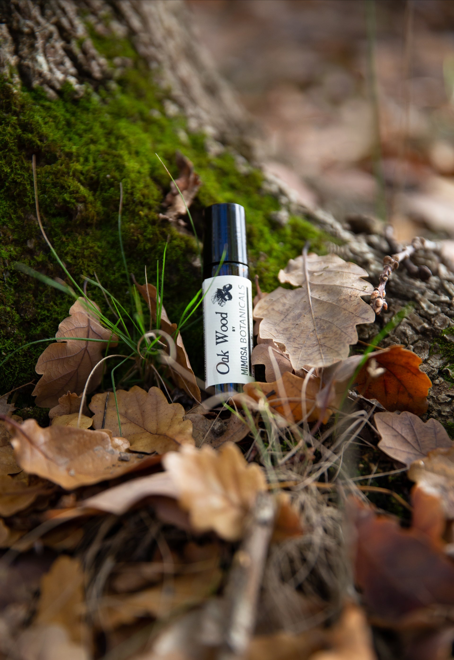 Oak Wood Botanical Perfume – Mimosa Botanicals